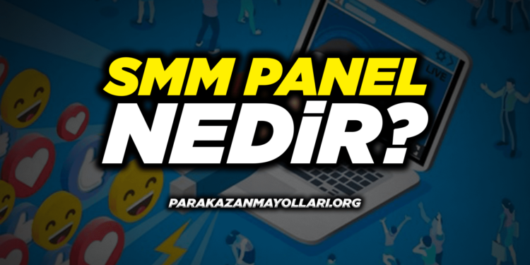 SMM Panel Nedir, Nasıl Kurulur? - Para Kazanma Yolları